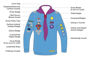 Beavers badge placement – 1st Embsay and Eastby Scouts